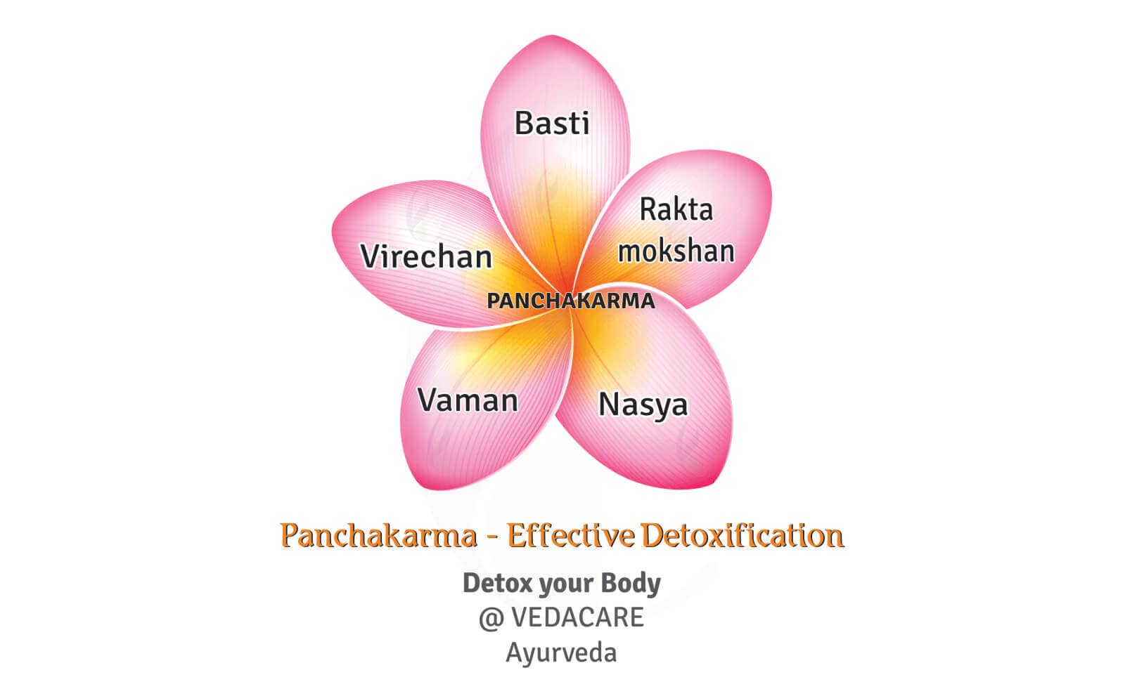 Importance Of Panchakarma In Life